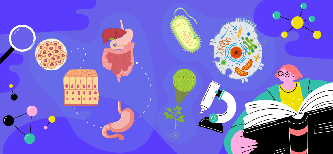 Cell Theory and Prokaryotes - ScienceAide